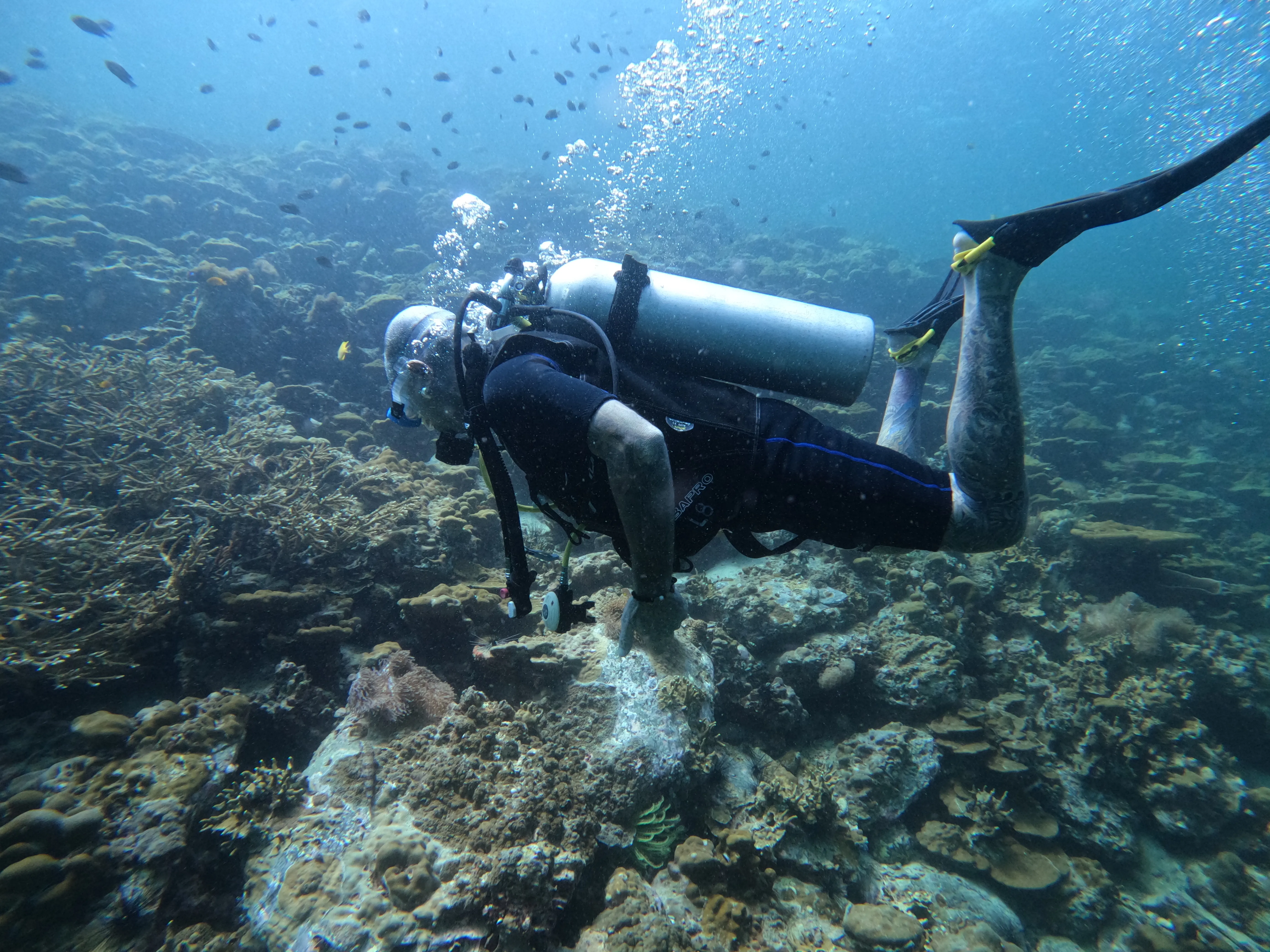 2 dives full day scuba diving trip | Koh Lipe